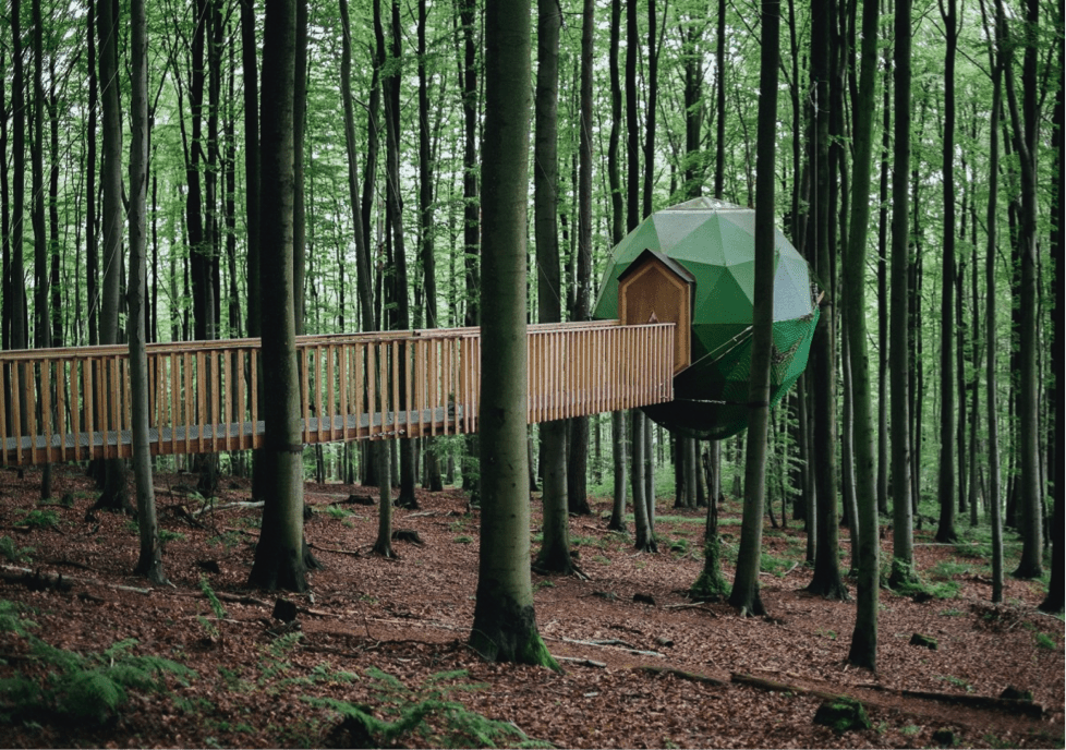 WOW: These 9 Isolated Cabins Are A Perfect Hideout - TrendMantra
