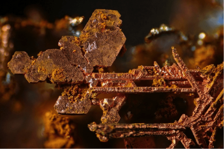 17 Breathtaking Photos That Reveal A Completely New Universe Under ...